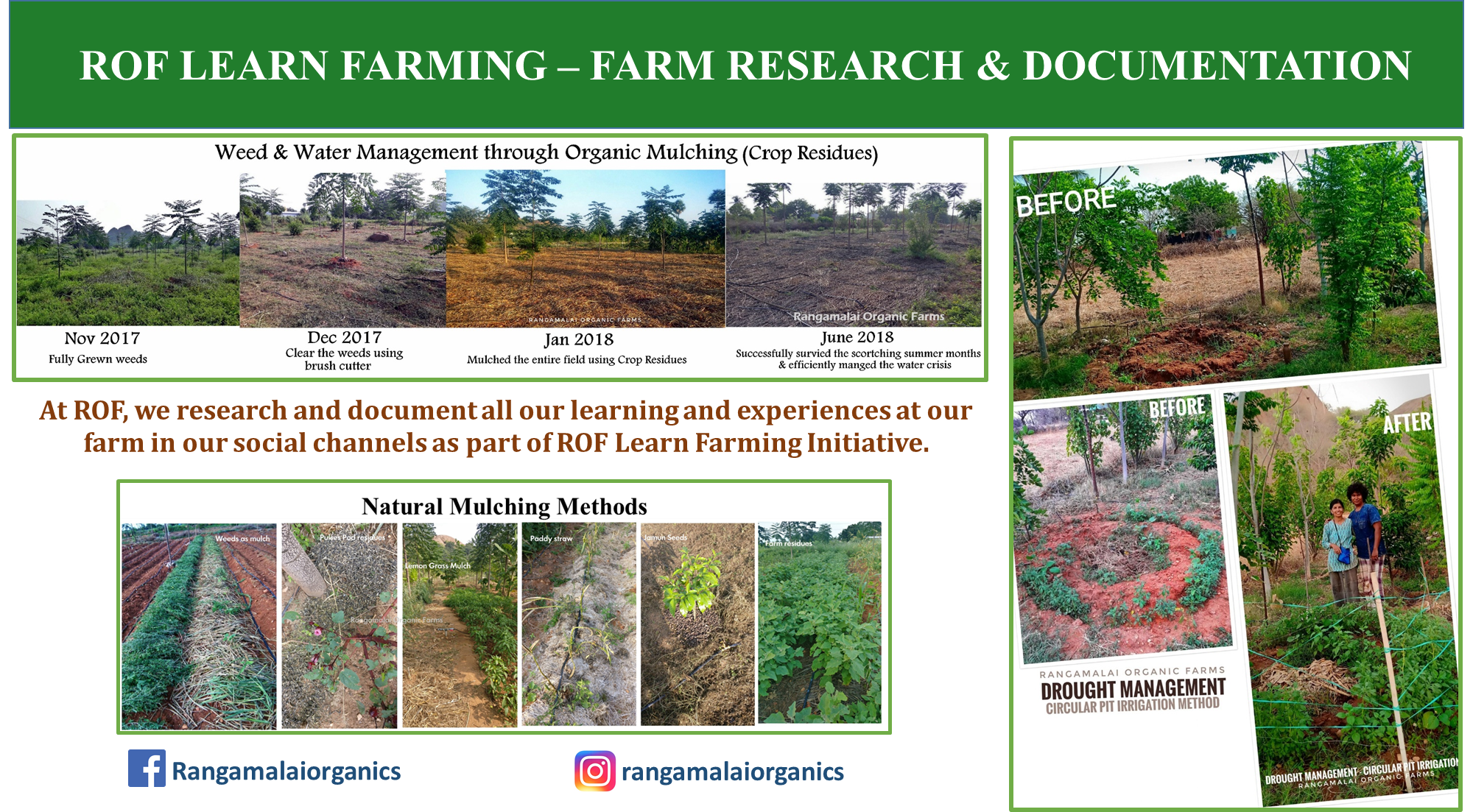ROF Farm Research & Documentation - Rangamalai Organic Farms - Manvasanai